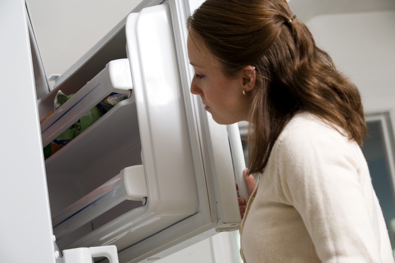 Guide to Refrigerator Repairs