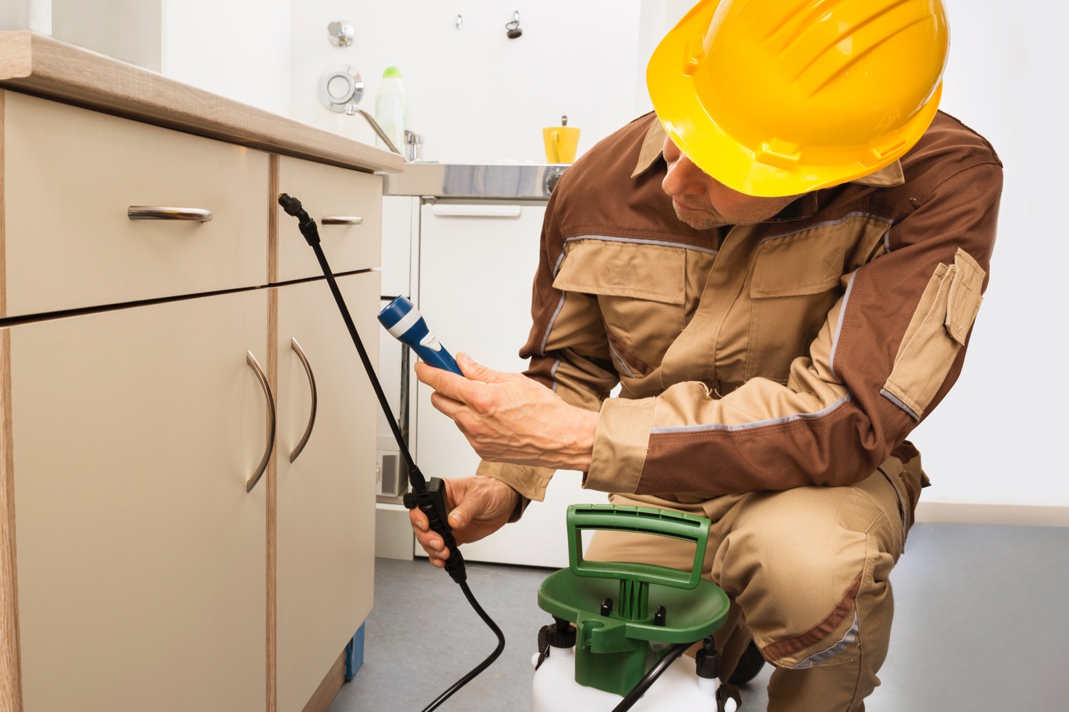 Best Local Rodent Control Experts Near Me (3 Free Quotes)