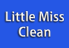 Little Miss Clean - Warwick WA 6024 - hipages.com.au