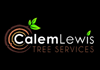 Calem Lewis Tree Services - Long Beach NSW 2536
