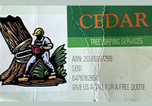 Cedar Tree Lopping Services - CARLTON NSW 2218