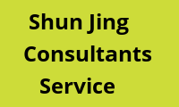 Shun Jing Consultants Service - GUILDFORD NSW 2161