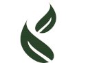 Grassroots Maintenance - BRIGHTON VIC 3186