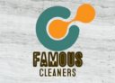 Famous Cleaners Pty Ltd - CANNINGTON WA 6107 - hipages.com.au