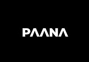 PAANA CONSTRUCTION PTY LTD - LUTWYCHE QLD 4030