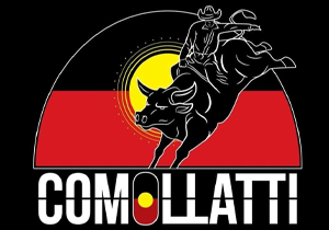 Comollatti Contractor - DUARINGA QLD 4712 - hipages.com.au