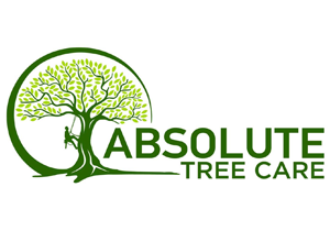 Absolute Tree Care - CAPE WOOLAMAI VIC 3925