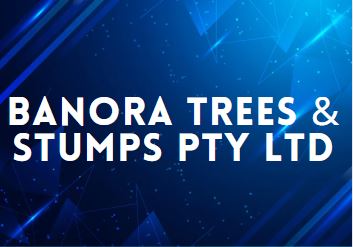 BANORA TREES & STUMPS PTY LTD - Gold Coast region, Tweed heads region