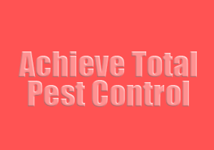 ACHIEVE TOTAL PEST CONTROL PTY LTD - Fairfield QLD 4103