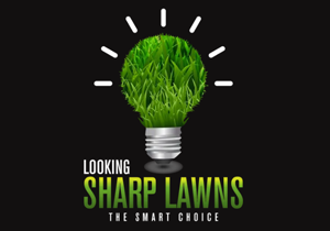 Looking Sharp Lawns - WORONGARY QLD 4213